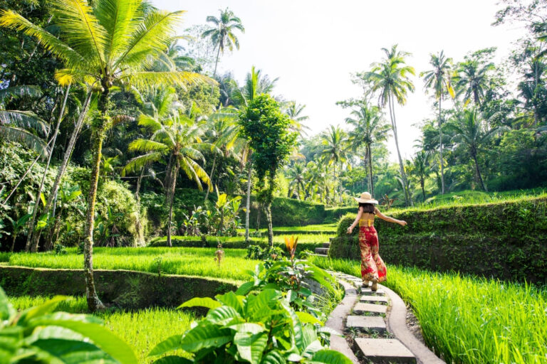Sustainability in Bali: Nature Conservation and Sustainable Tourism