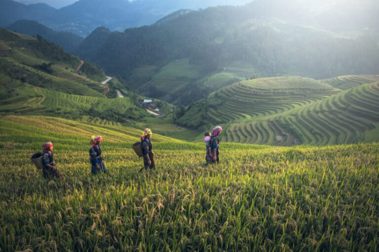 Boosting Bali’s Economy: The Power of Labor Intensive Sectors